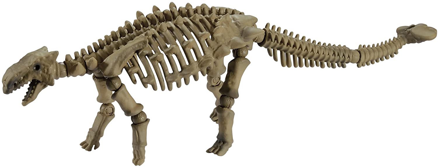 Pose Skeleton Dinosaur Series 106 Ankylosaurus - Discovery Japan Mall