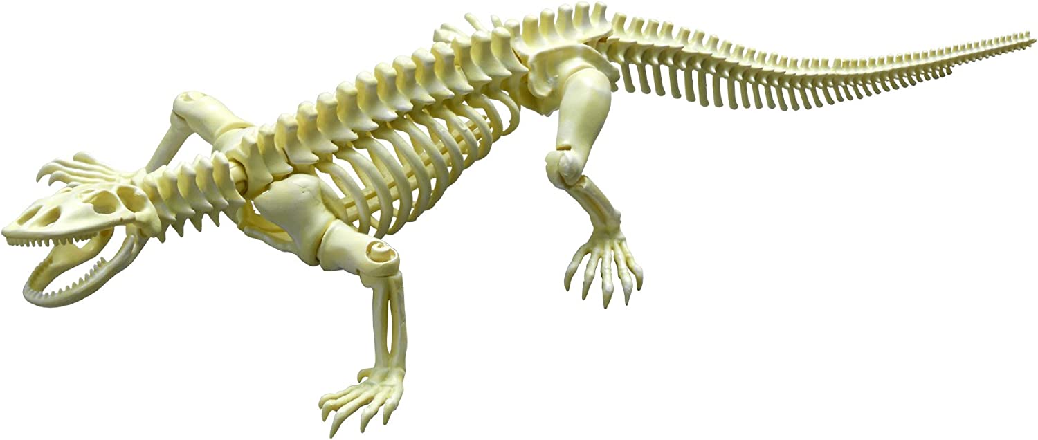 Pose Skeleton Reptile Amphibian No.203 Komodo Dragon - Discovery Japan Mall