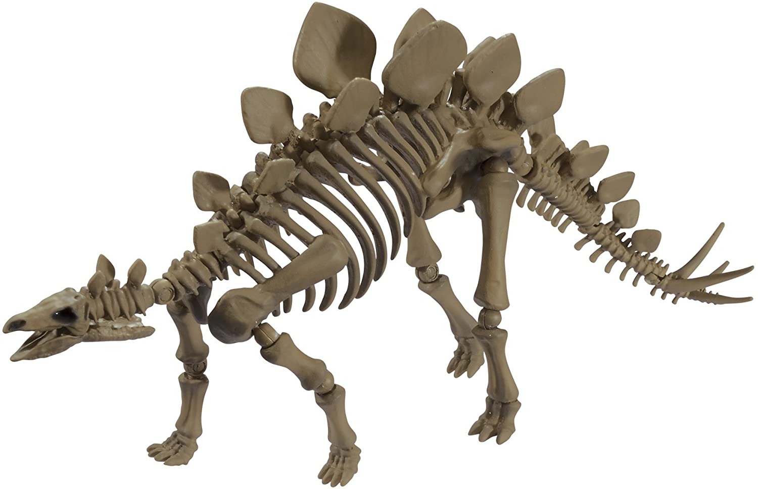 Pose Skeleton Dinosaur Series 103 Stegosaurus - Discovery Japan Mall