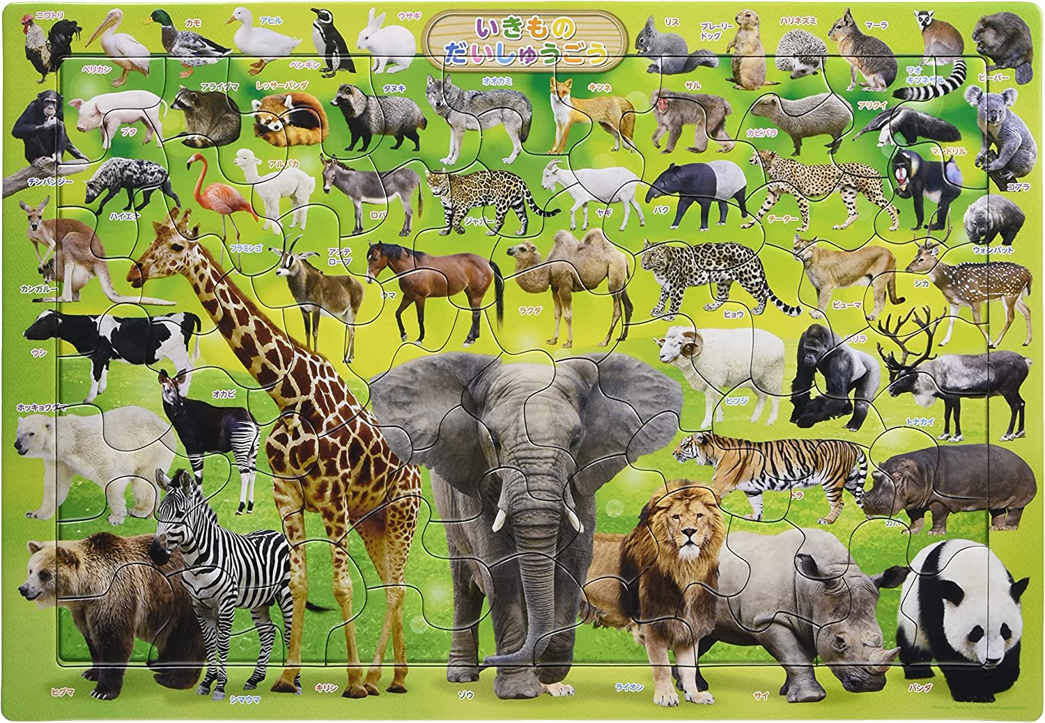 [Apollo Picture Puzzle] Ikimono Daishugo 63 Piece Puzzle for Children ...