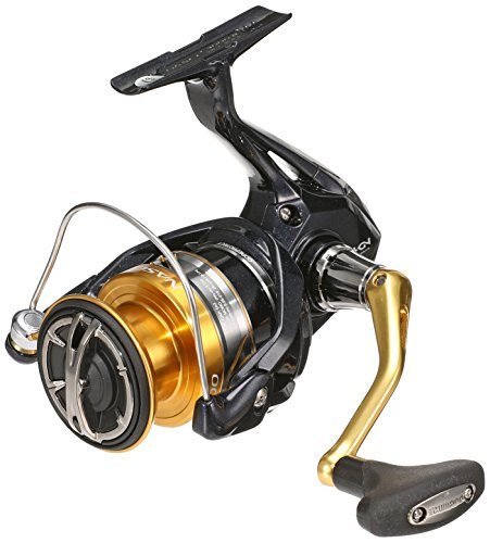 Shimano 16 Nasci C3000 - Discovery Japan Mall