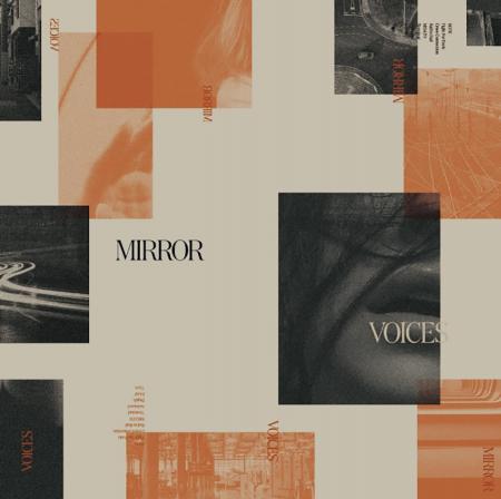 VOICES*12 inch analog board - Discovery Japan Mall