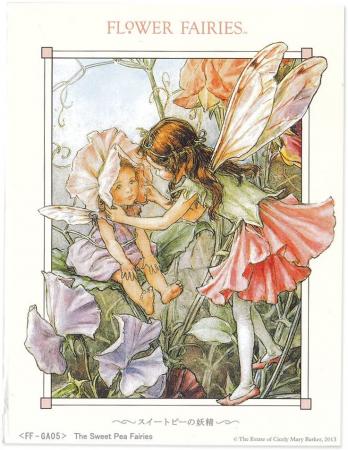 Janti 3D Craft Flower Fairies Sweet Pea Fairy FFT-GA05 - Discovery ...