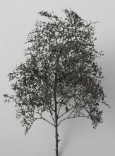 Woodland Scenery x KATO Natural Material Tree Black Dyed 24-368 Railway ...